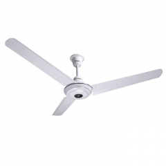 Fan: Find the Fan Price in Bangladesh | Buy Online