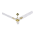Fan :: Ceiling Fan :: VISION Royal Ceiling Fan 56"